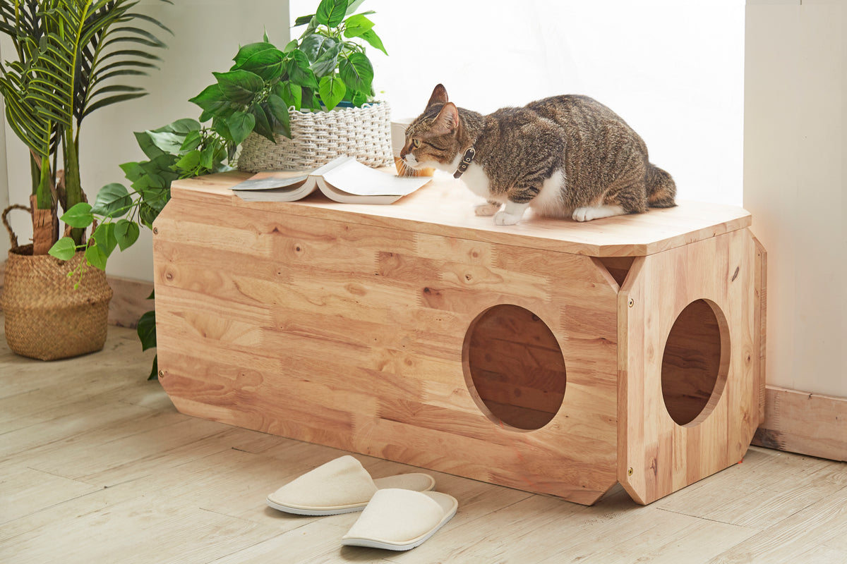 Kitten Bench – The Import Depot